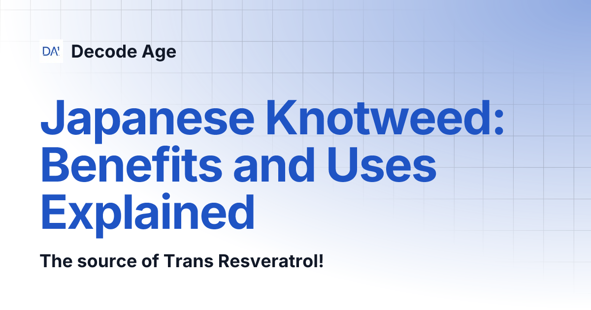 Japanese Knotweed: Benefits and Uses Explained | Decode Age